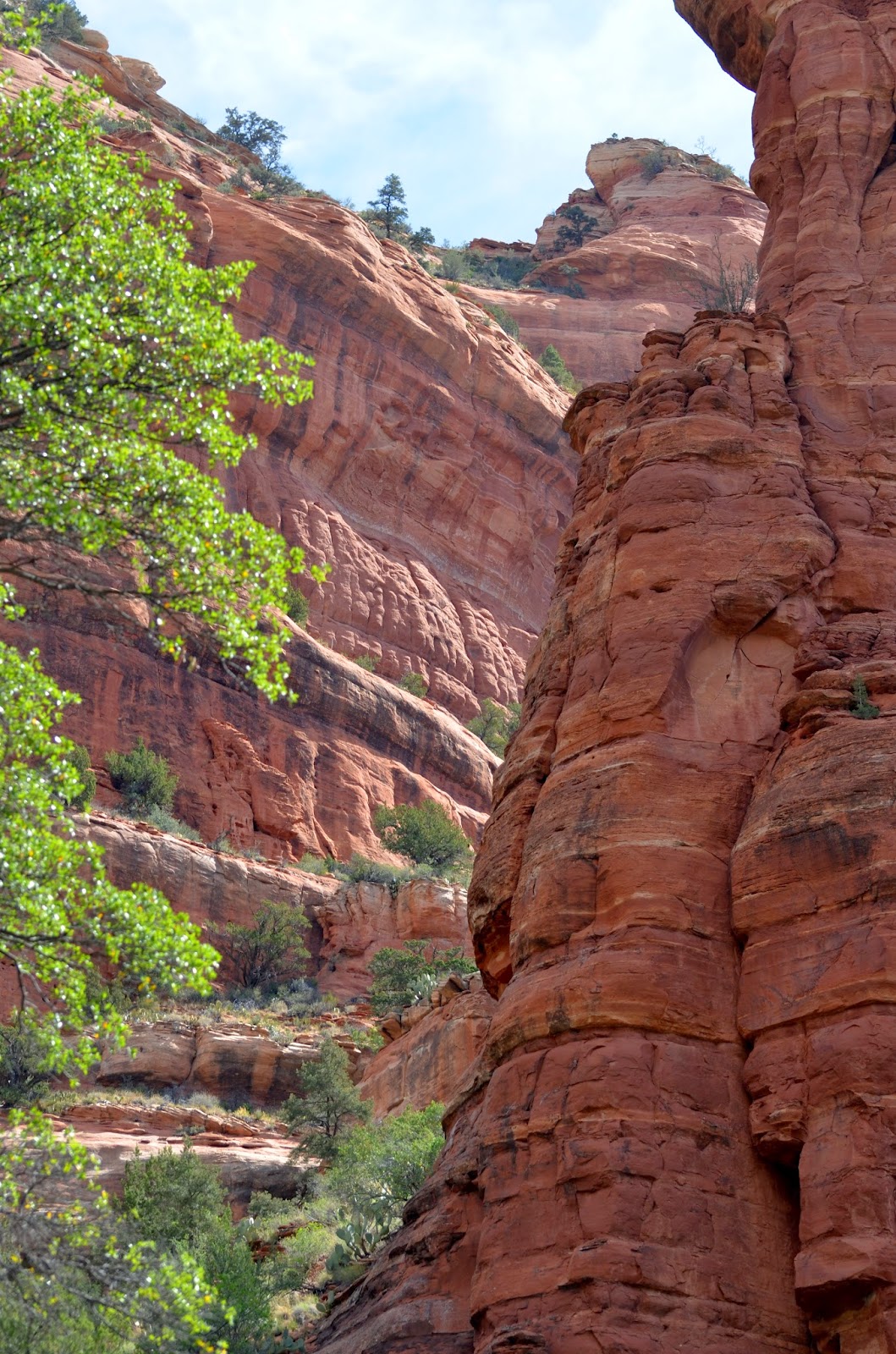 good-times-rollin: Captivating Canyons