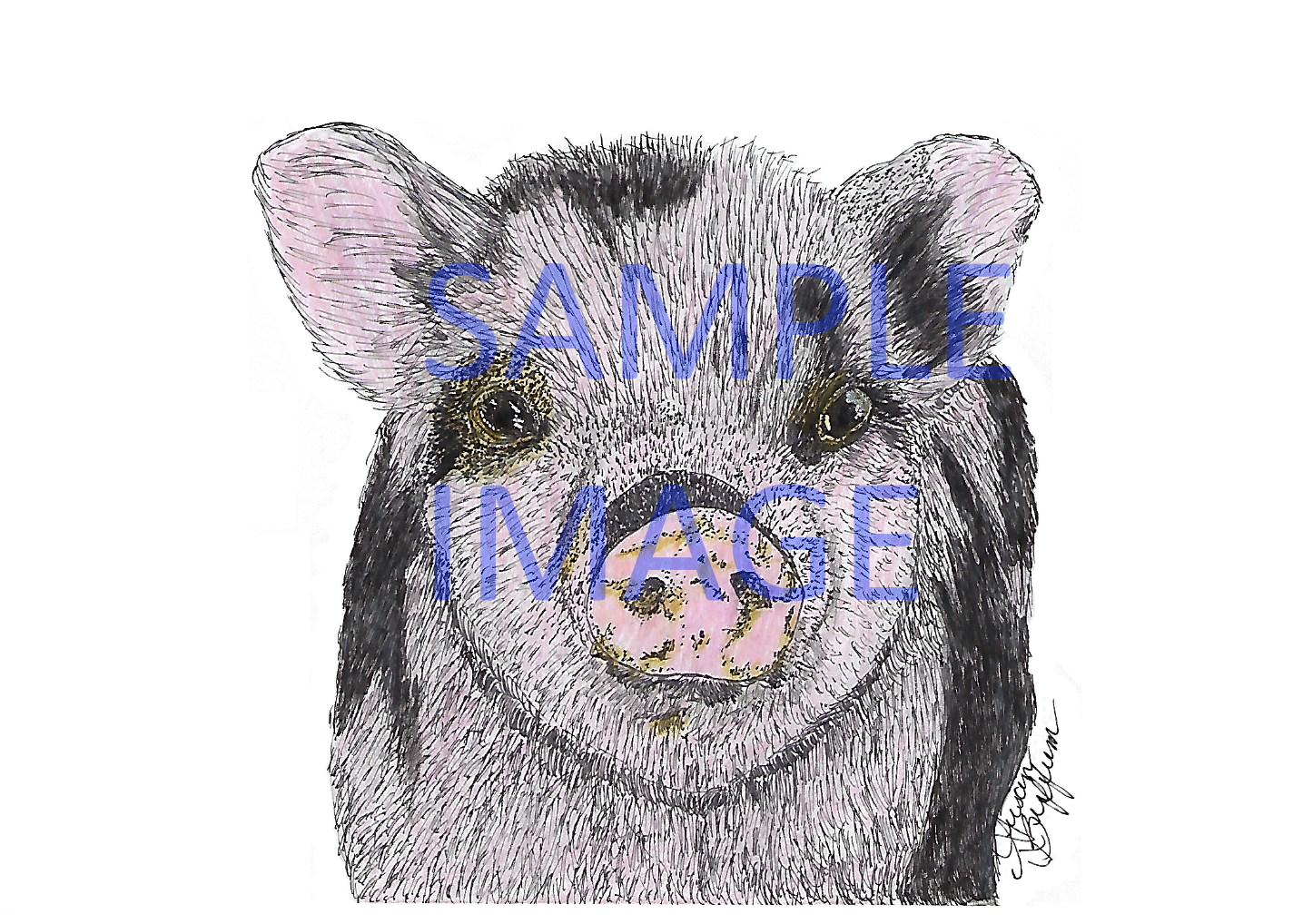 Susan Buffum- Author: Farm & Pets