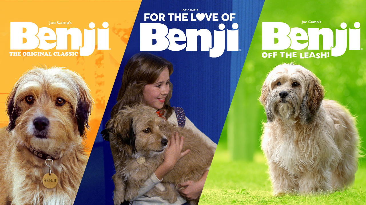 Inspired by Savannah: Enter to #Win the New Joe Camp's THE BENJI ...