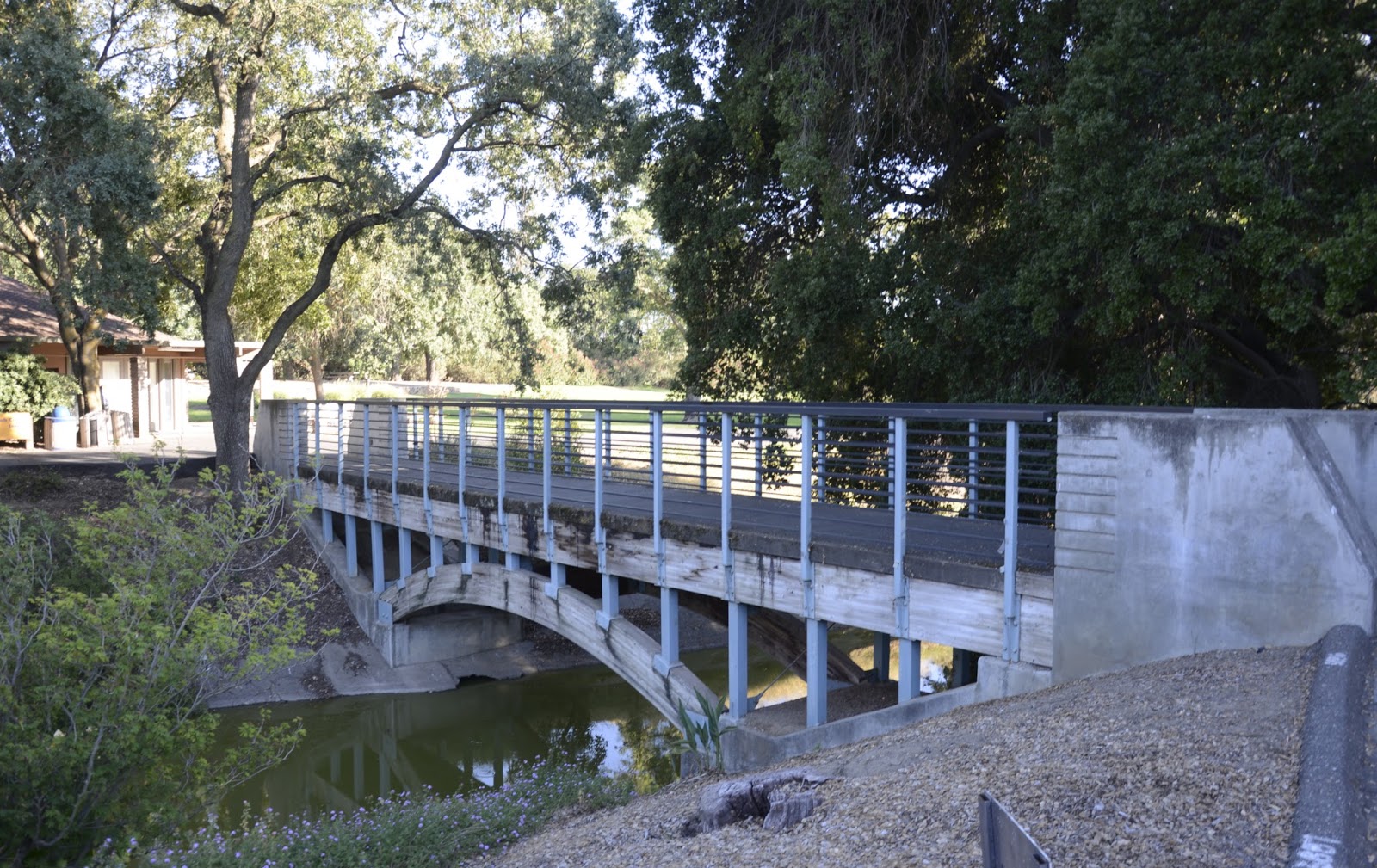 Bridge of the Week: Yolo County, California Bridges: UC Davis ...