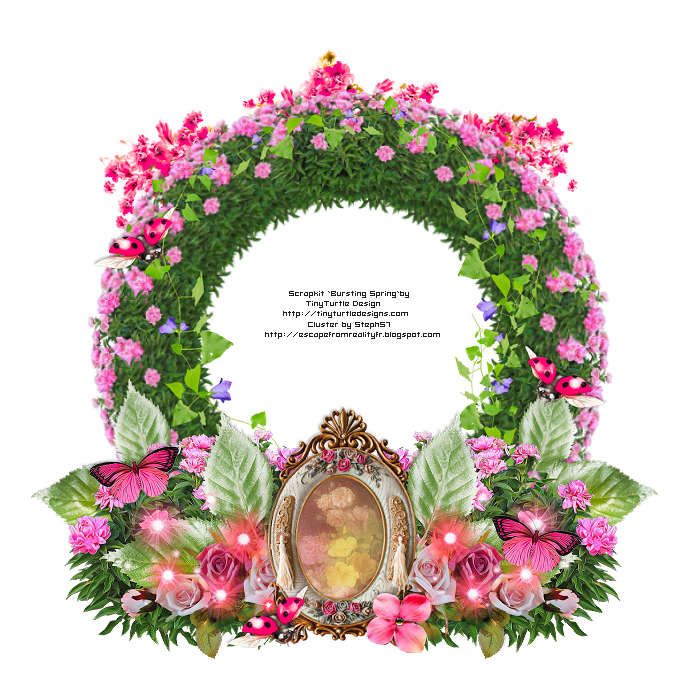 Escape From Reality Blog: FTU 'Bursting Spring' Cluster Frames TTD