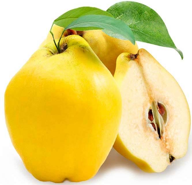 Arta Culinară Românească