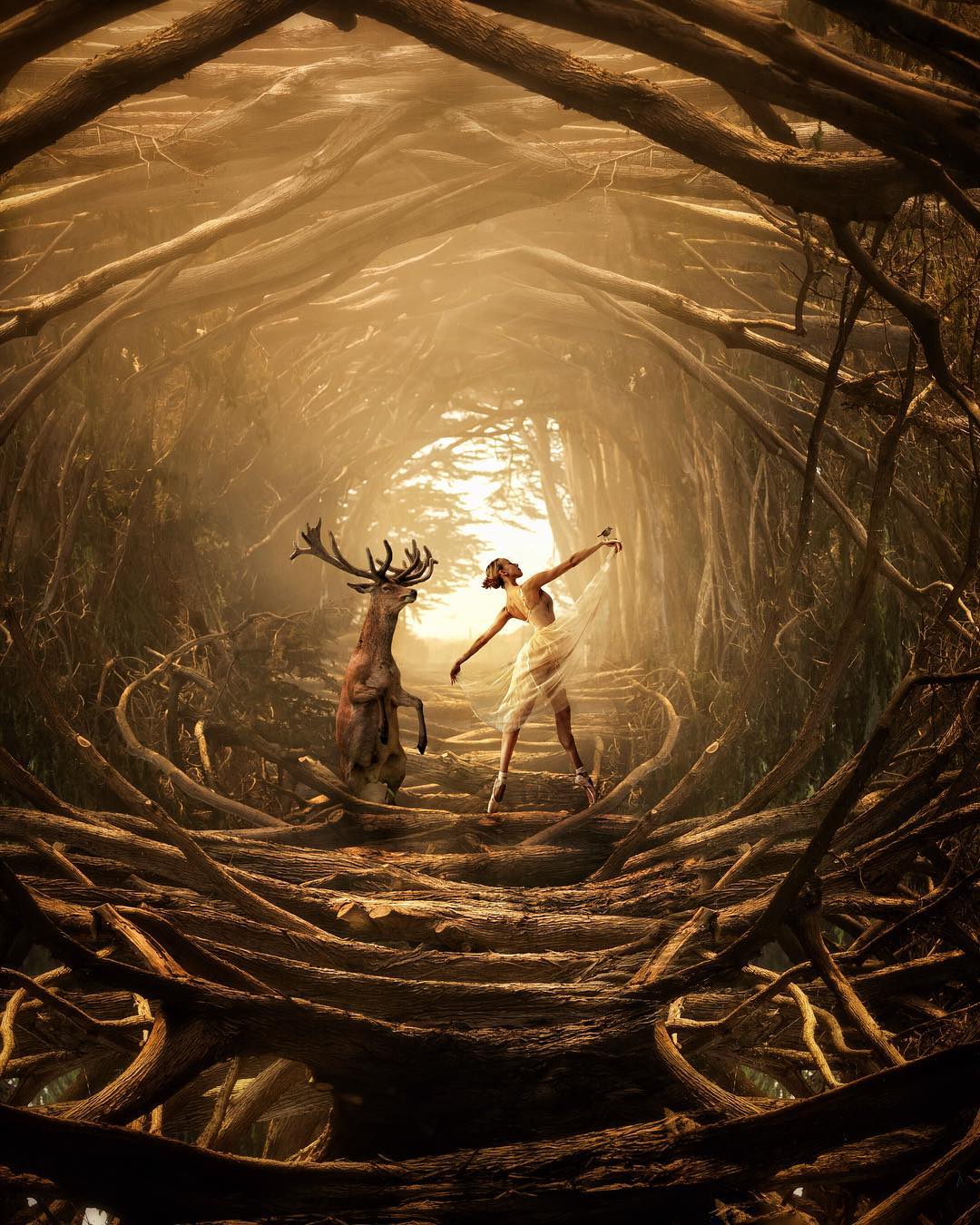 13 Gambar Editan Photoshop Yang Menarik