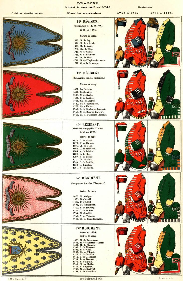 French Vocabulary Illustrated: guidon