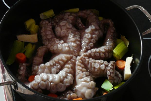 Kulinarische Welten zu Fisch- und Meeresfrucht: Pulposalat