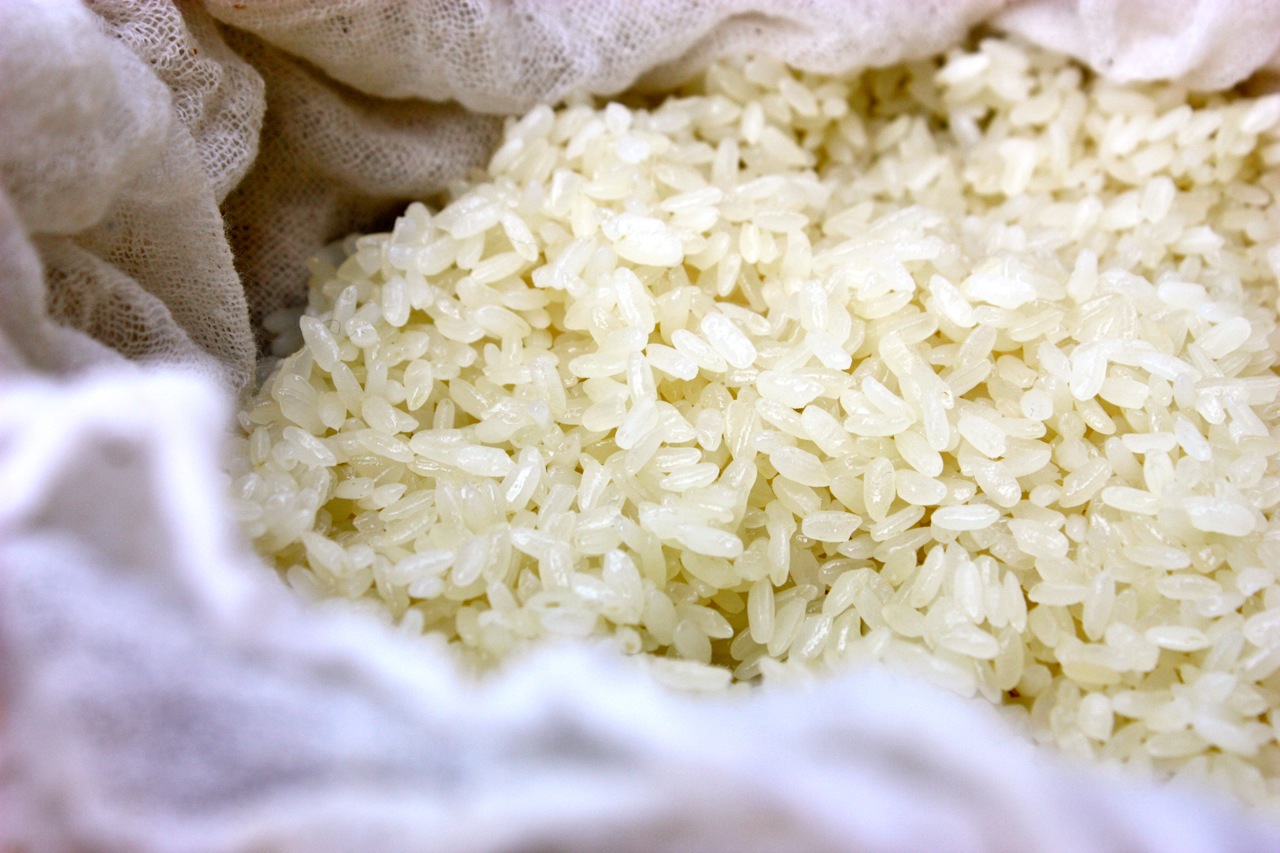 My Own Private Kitchen: Strawberry Mango Sticky Rice