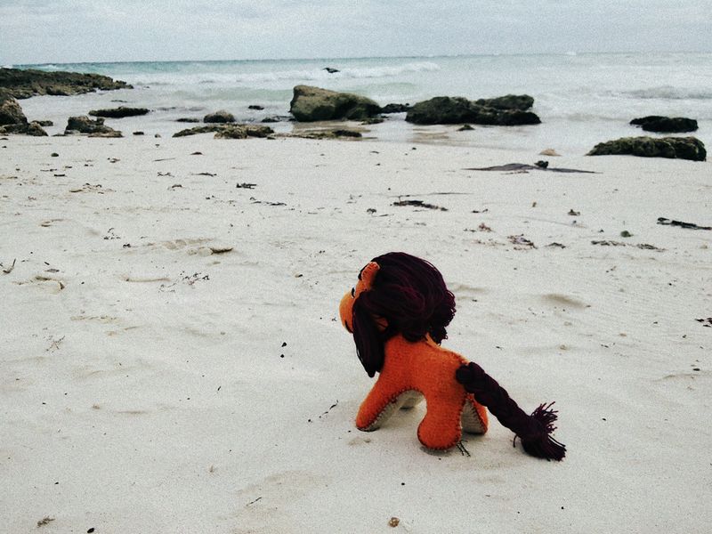 thatscool: SPRING BREAK ...so close