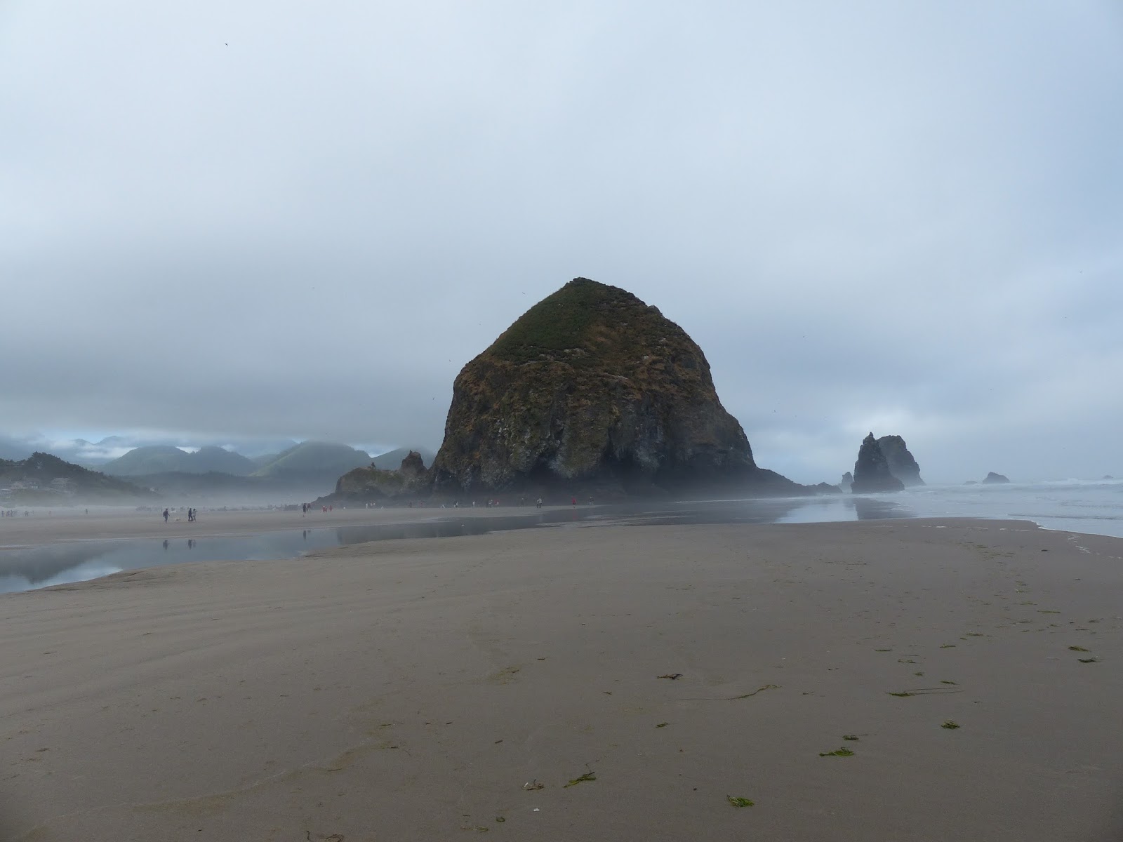 Cannon Beach Birder: Haystack Rock at low tide