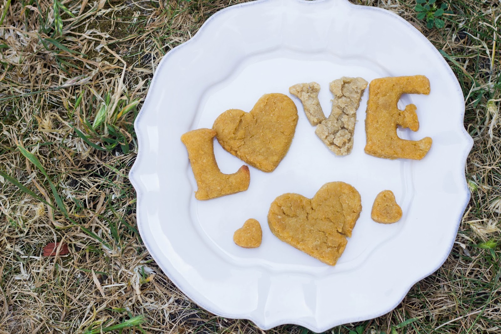 The Year of The Cookie: Baby/Toddler "Cookies"