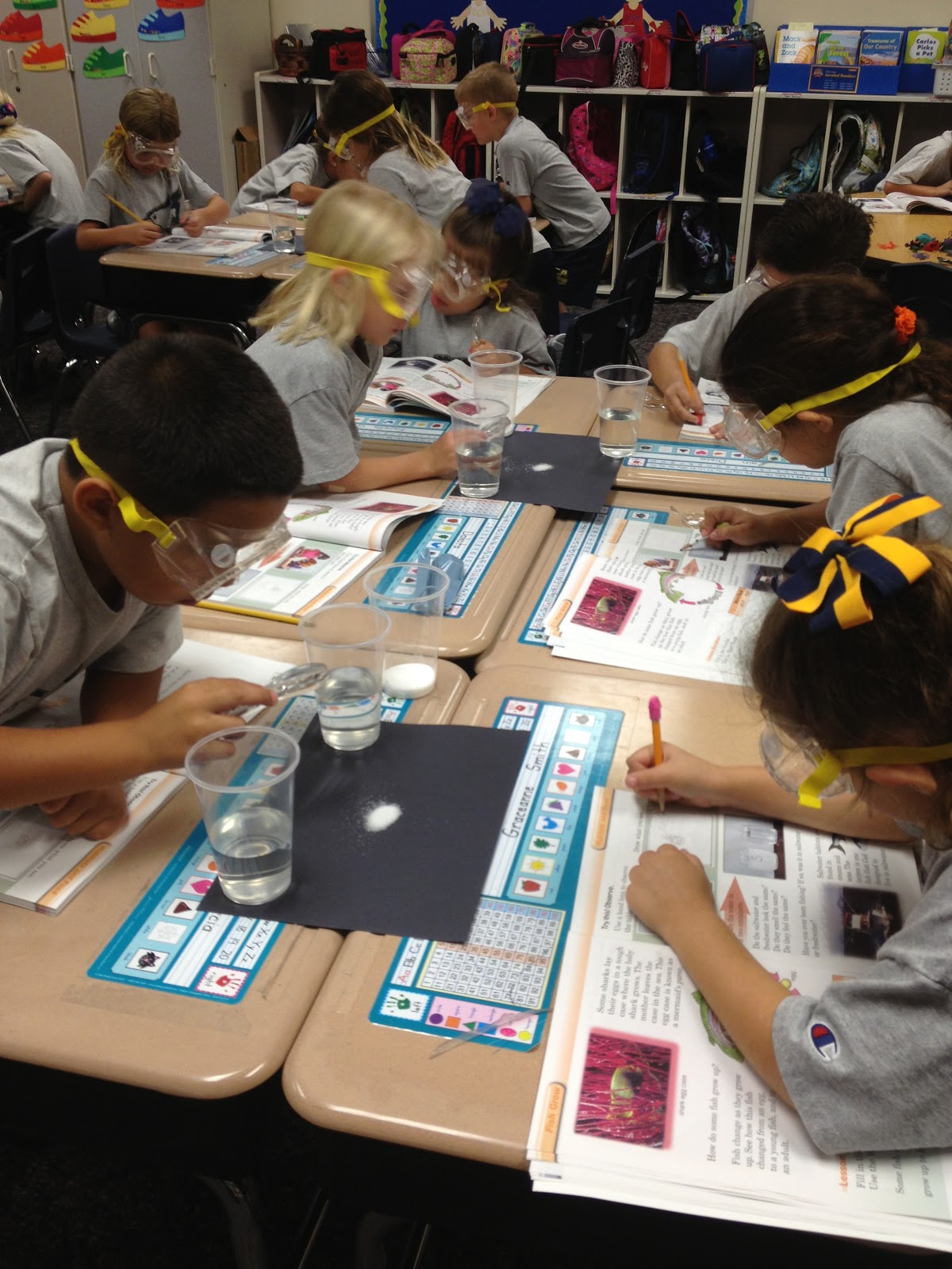 Learning With Mrs. Keller: Fish Habitat Experiment