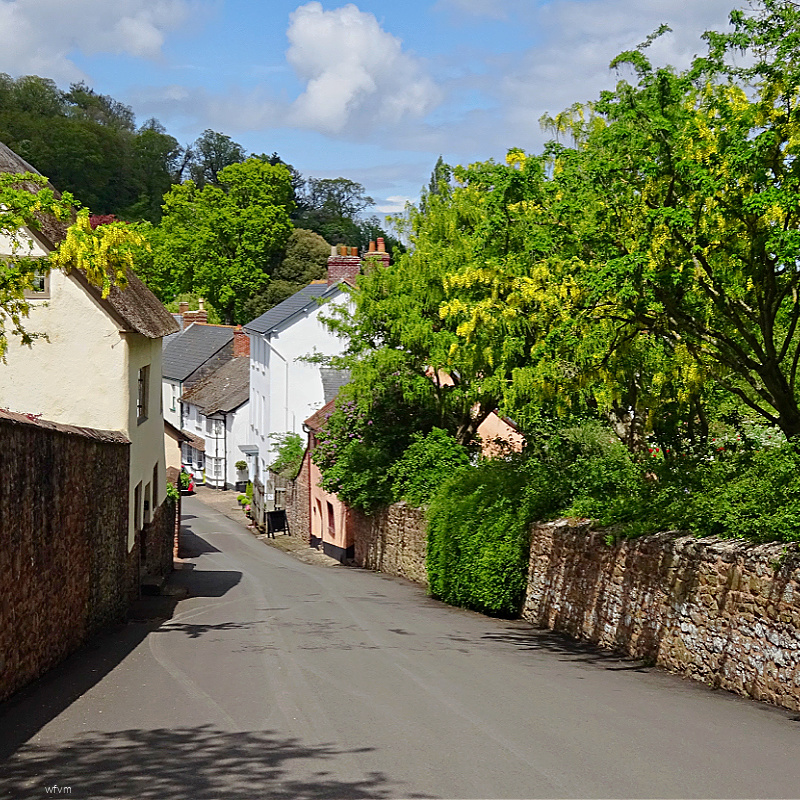Where Five Valleys Meet: Dunster Castle