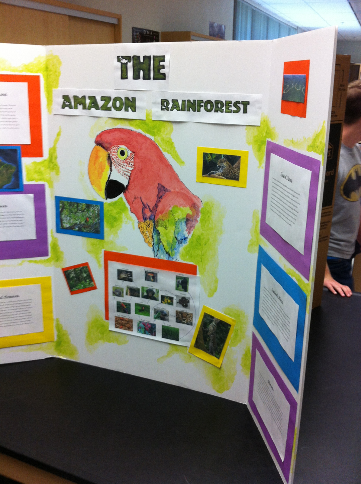 Mr. Davis - Project Manager Turned Teacher: Exceeded Expectations ...