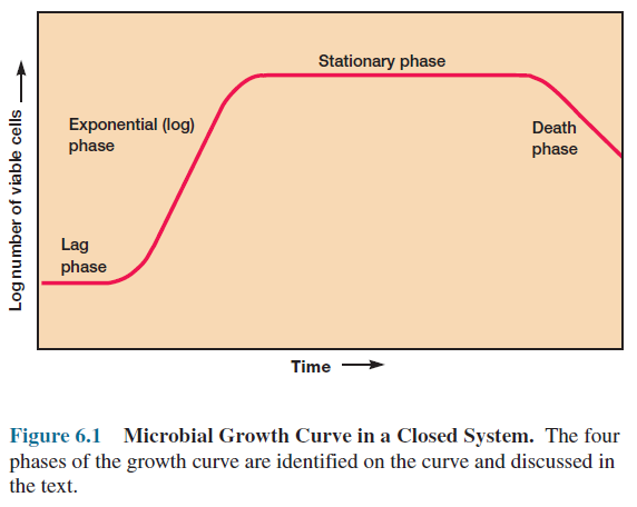Microbiology Notes: Microbial Growth : Bacterial Growth Curve