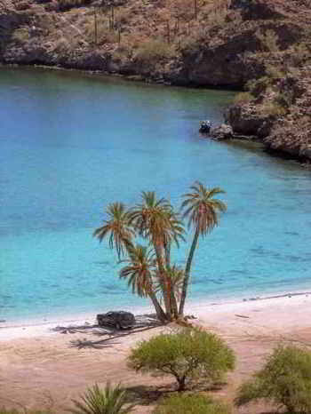 INVITA A TU PAREJA A PLAYA EL COYOTE BAJA CALIFORNIA SUR