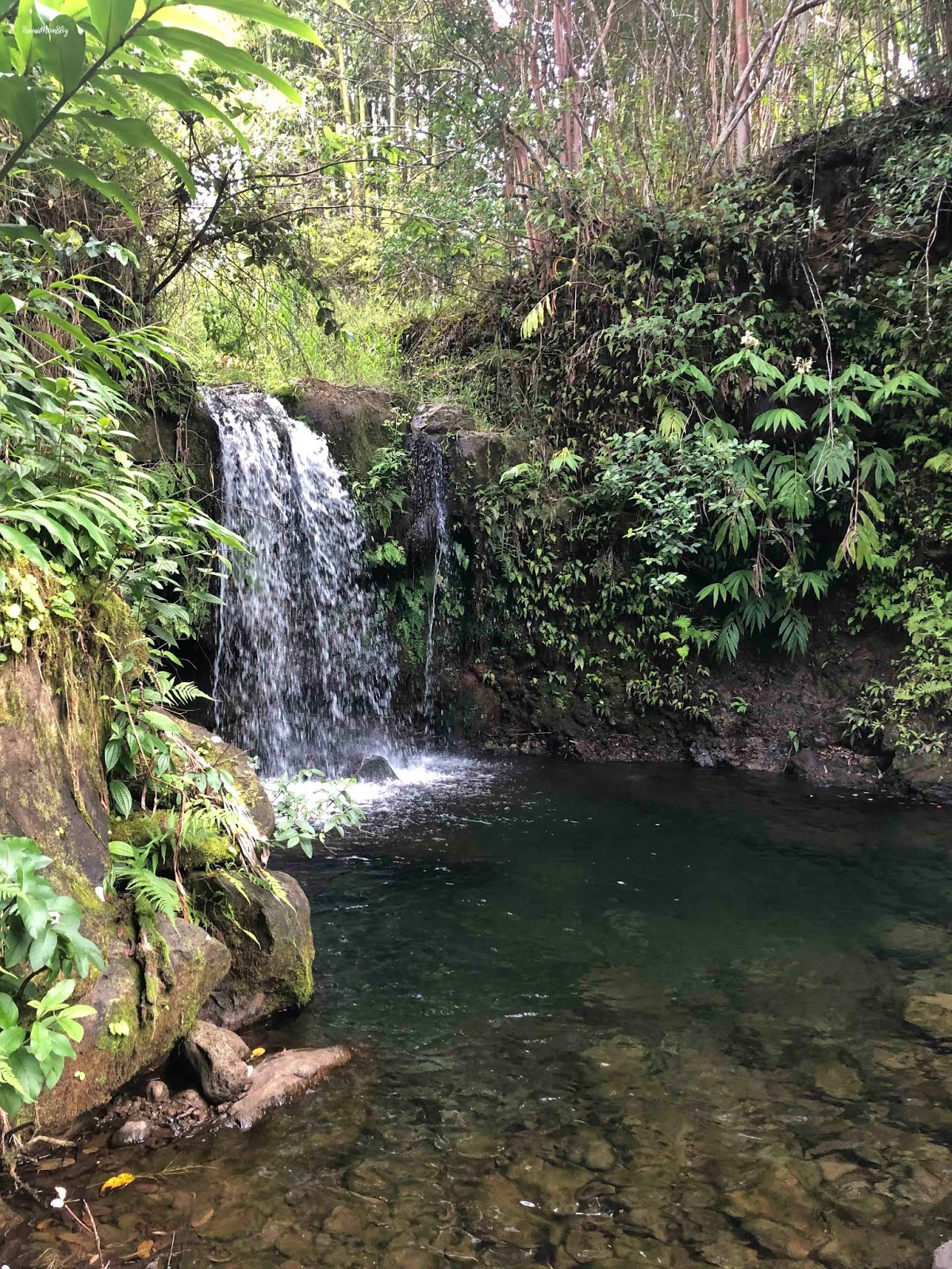 Hawaii Mom Blog: Visit Big Island: Kapehu Falls Retreat House