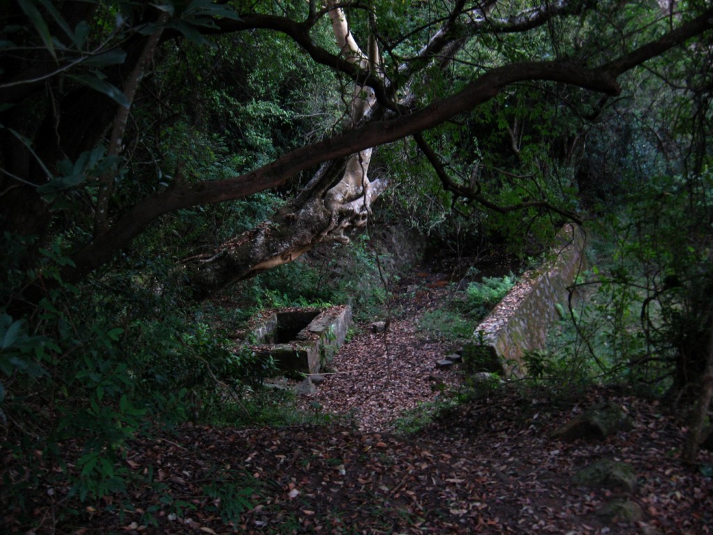 Tamilnadu Tourism: Muthaliar Oothu, Shenbagathoppu, Srivilliputhur ...