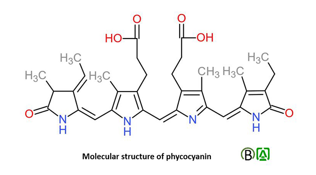 Photosynthetic pigments