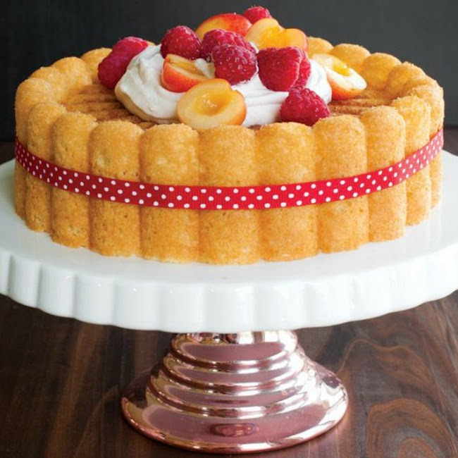 Charlotte Cake Made Easy | Life and Linda