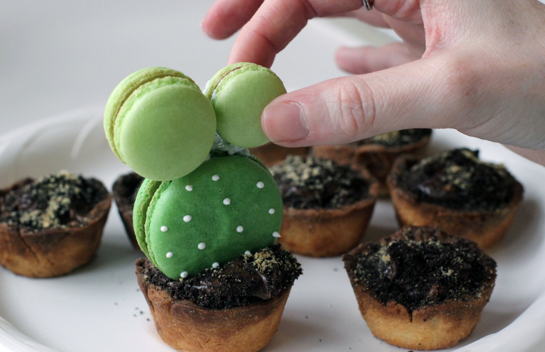 HOW TO MAKE THE SPINY CACTUS FRENCH MACARON - Food Boiling