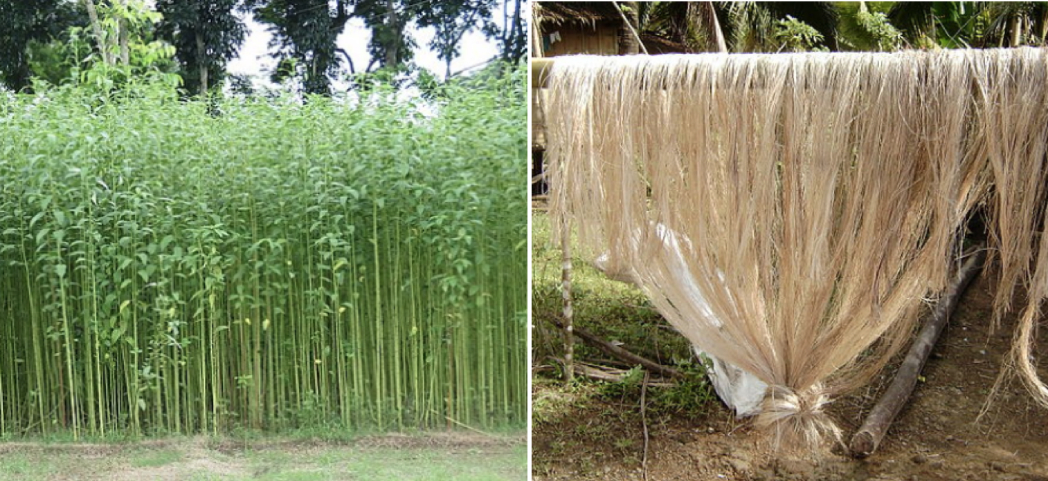 NephiCode: The Lamanite Clothing for War