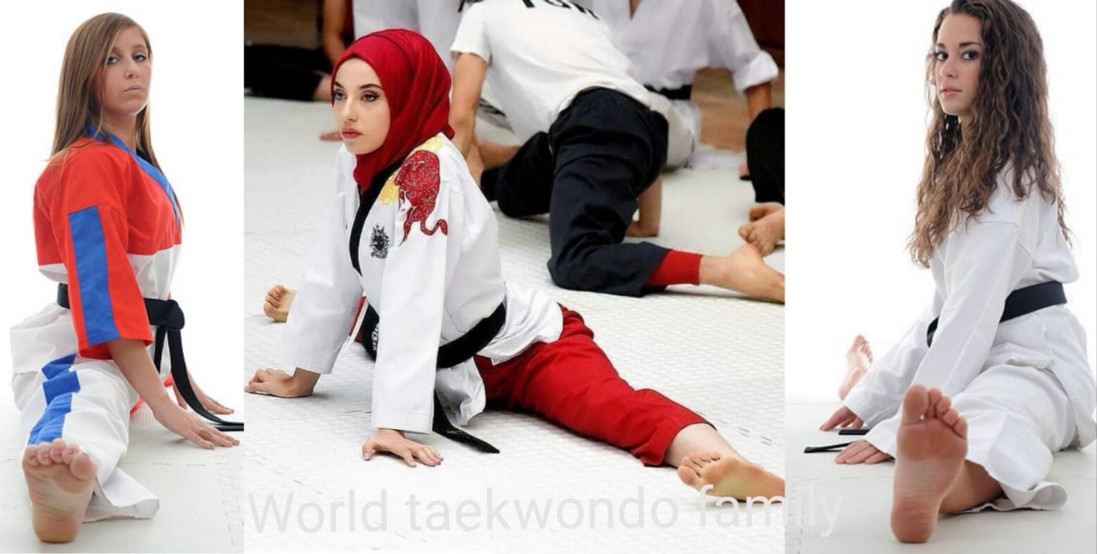 Passive Stretching 세계 태권도 가족
