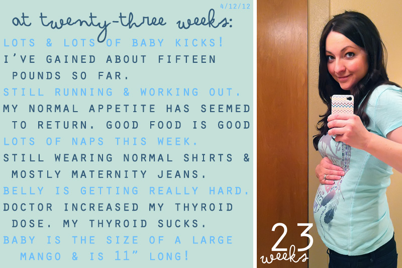 a good life.: twenty-three weeks. bump.