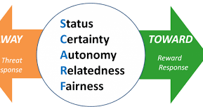 Het SCARF-model: Positieve emoties opwekken om leren te bevorderen
