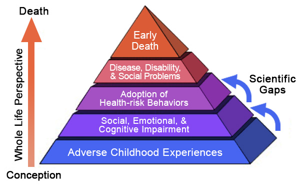 Markham's Behavioral Health: Are you aware of ACEs - Adverse Childhood ...