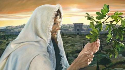 Mark 11:11-25(26) -- The fig tree; the cleansing of the Temple - Id-dar ...