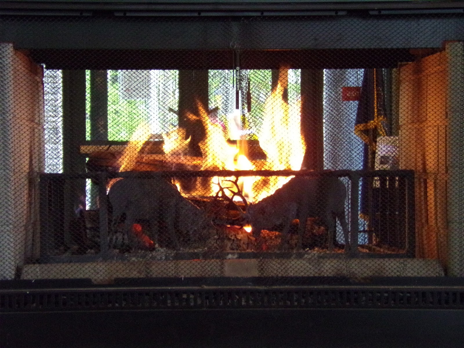 Learning about PA's Elk Herd at the Elk Country Visitor Center ...