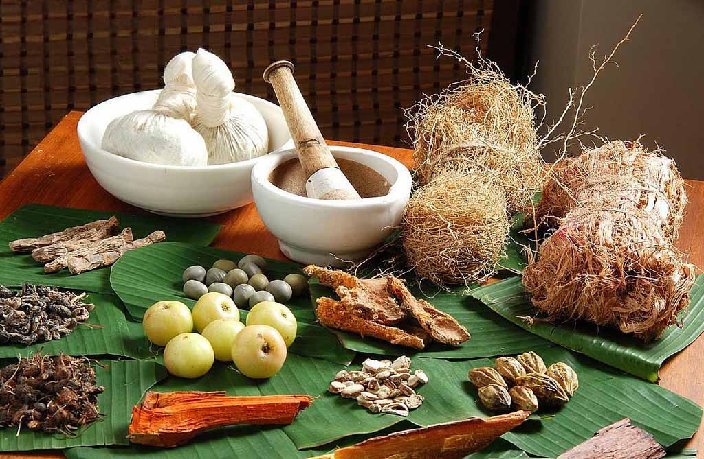Kerala Attractions: Undergo a Traditional Healing with Kerala Ayurveda