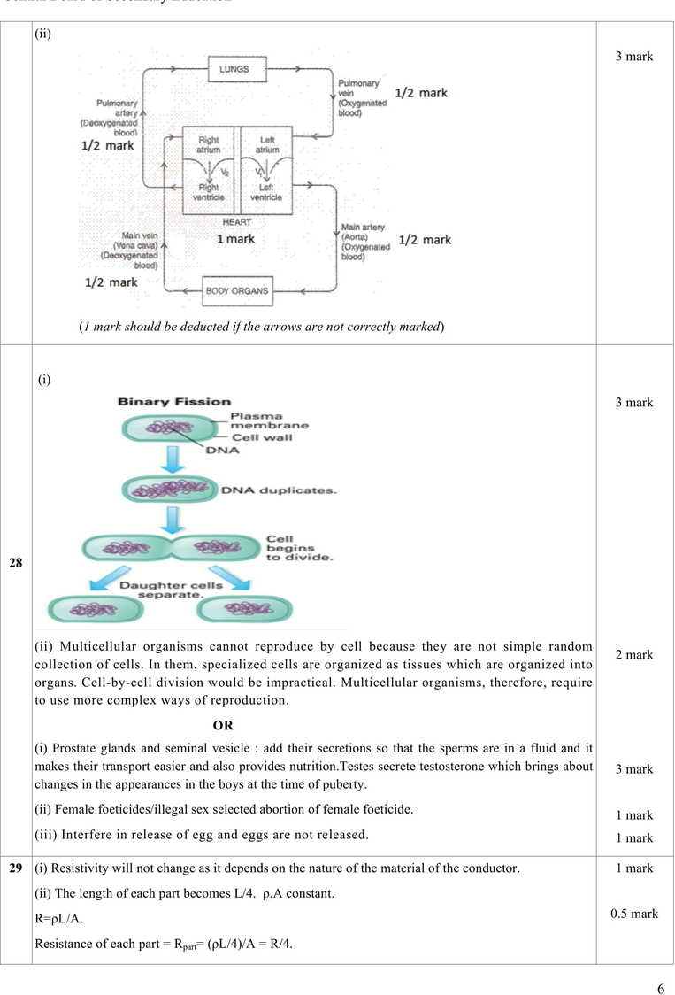 Solutions to CBSE Science Sample Paper 2020| Class 10th