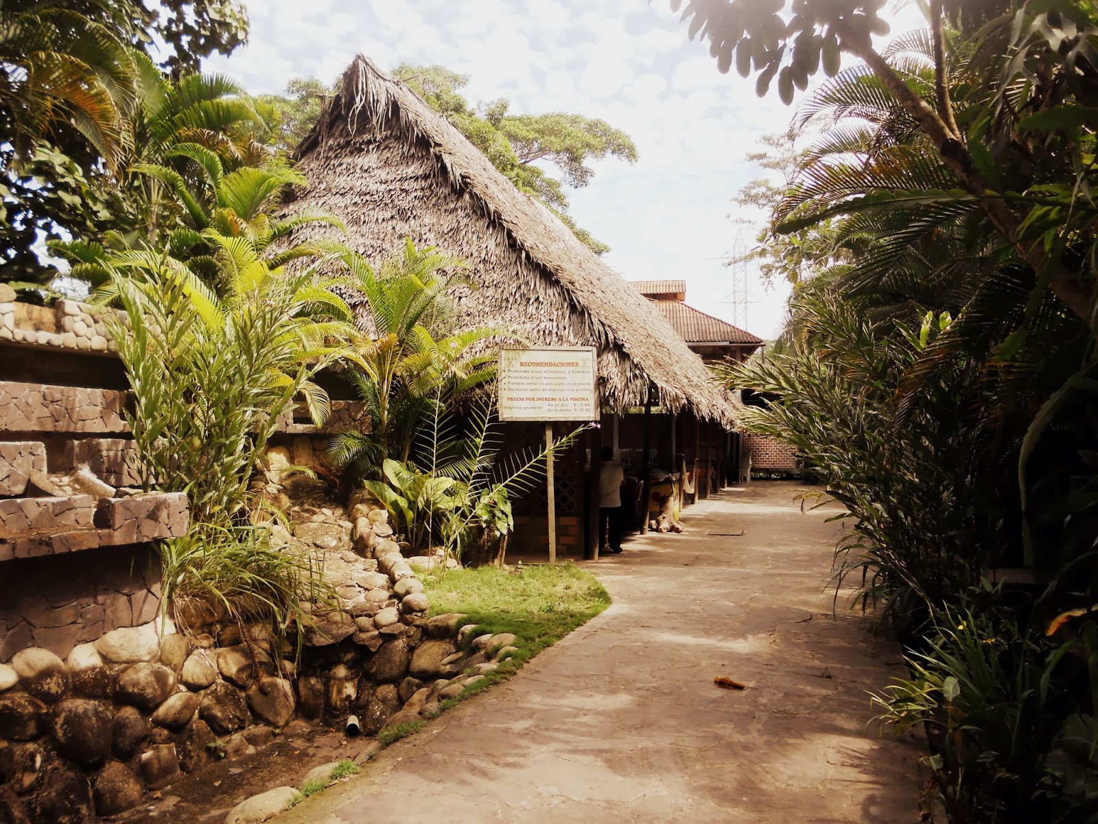 La Jungla: Restaurante el Pandisho