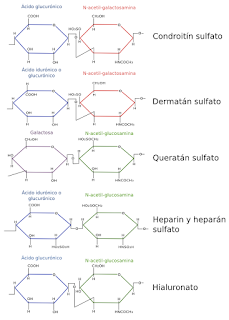 Actuaciencia: diciembre 2019