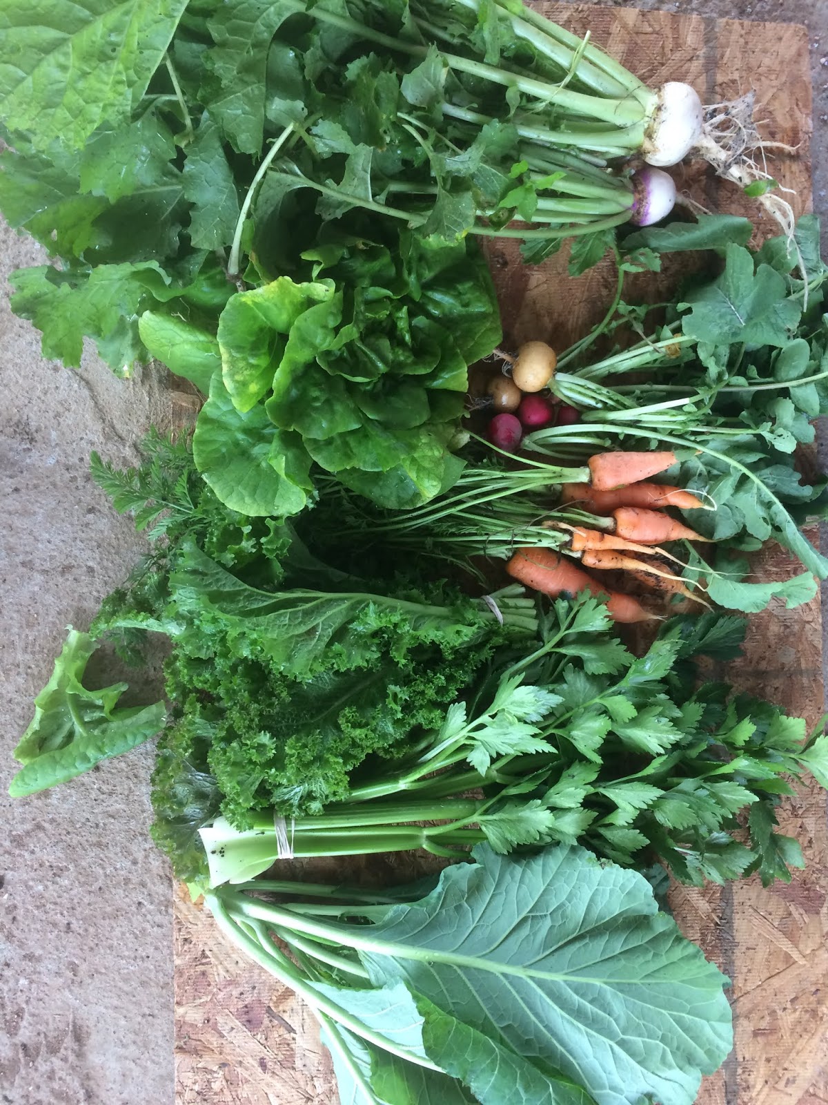 For the love of roots and greens