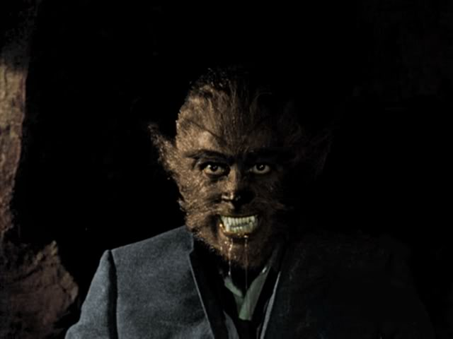 The Land of Cerpts and Honey: MAD WEREWOLF PARTY!