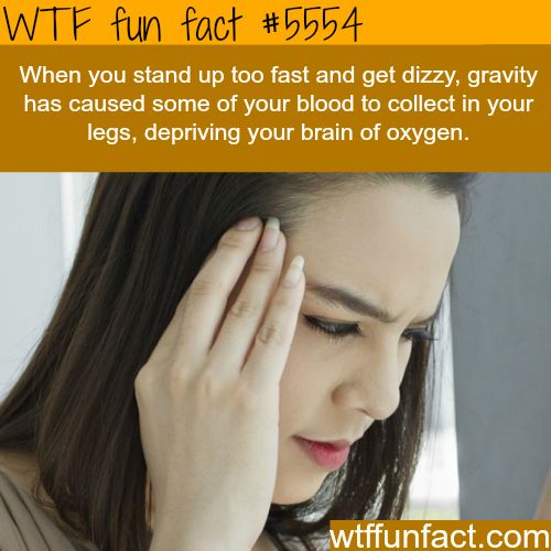 30 Amazing And Unbelievable Random Facts That Will Blow Your Mind ...