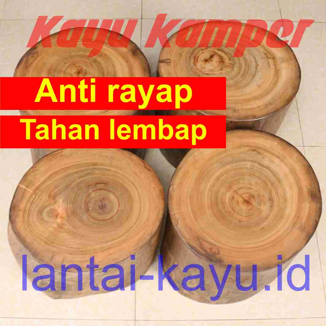 Kayu kamper vs Merbau. Mana yang terbaik ? - Lantai kayu indonesia