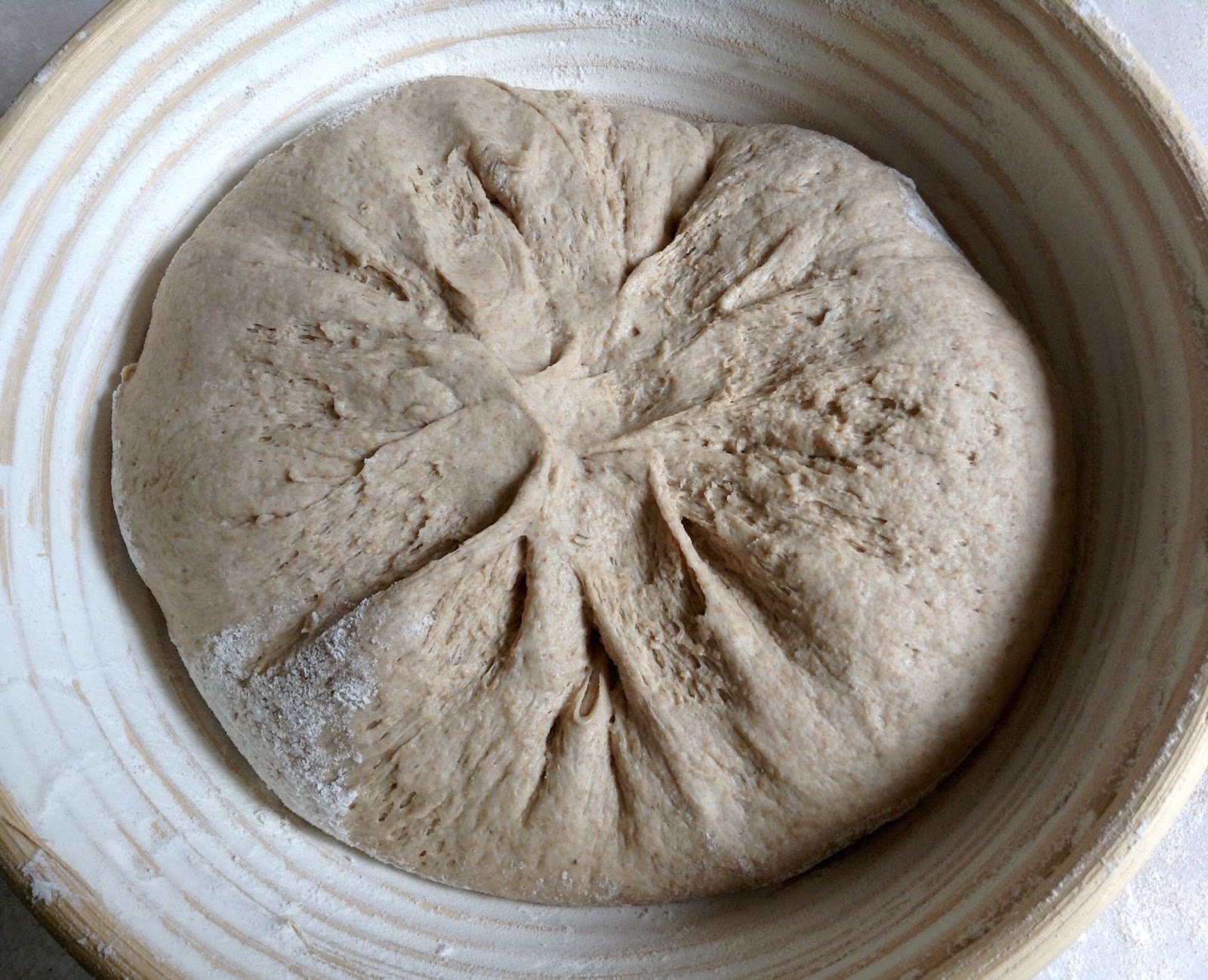 Brot & Bread: KARIN'S FEINBROT - GERMAN EVERYDAY BREAD