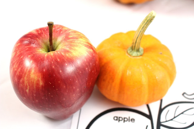 Freebielicious: From Apples to Pumpkins Freebie