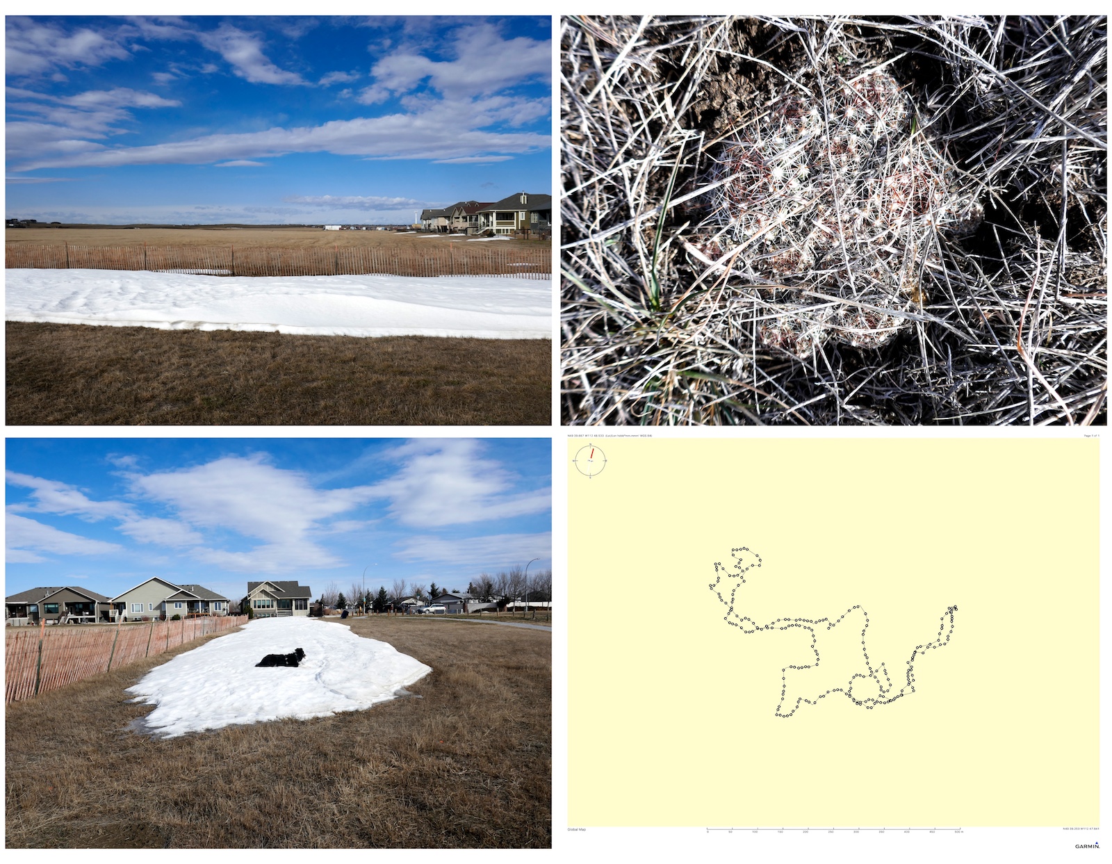 Don Gill - Walking: Iniskim (Sacred Buffalo Stone) / The Meadows