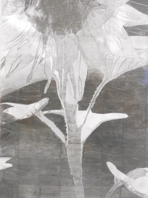 Sells Art: 8th grade