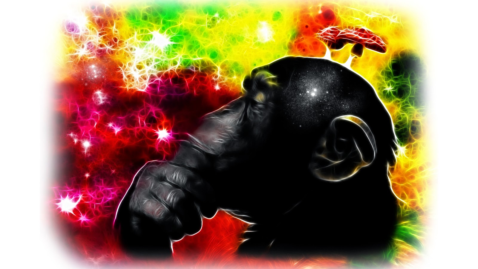 Joe Rogan on Terence McKenna's Stoned Ape Theory - Psychedelic Adventure