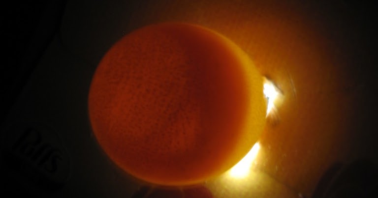 Razzberry Corner Candling Of Guinea Eggs