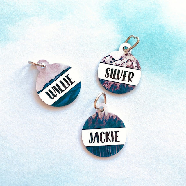 8 unique dog identification tags for National Pet Preparedness Month ...