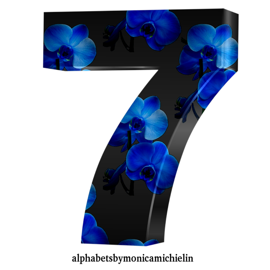 M. Michielin Alphabets: FLOWERS BLUE AND BLACK BACKGROUND ALPHABET ...