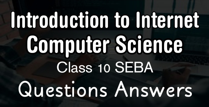 Introduction To Internet Class 10 Seba Computer Science Questions Answers Edunation19