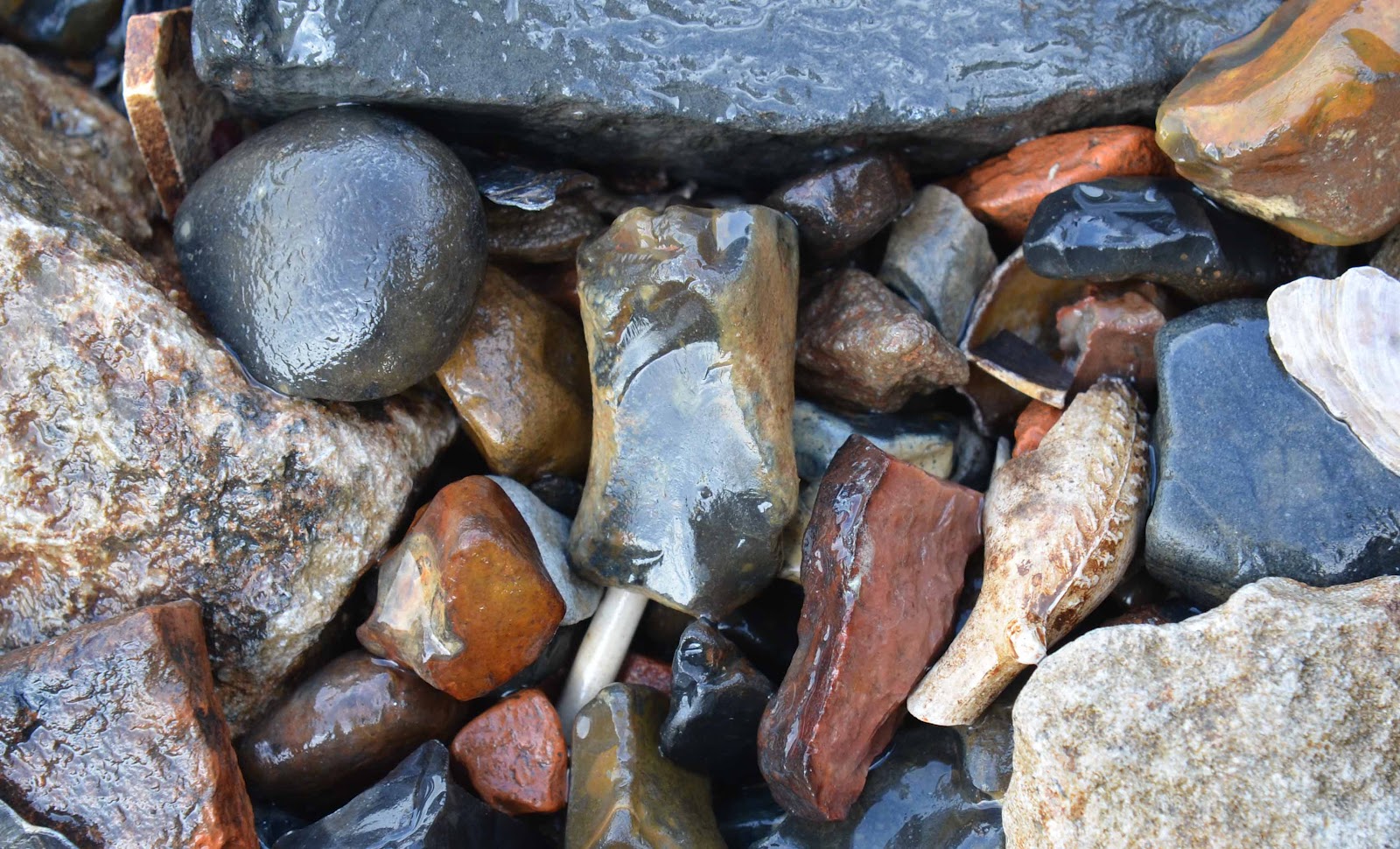 Mudlarking: Thames Mudlarking: A Day's Finds.