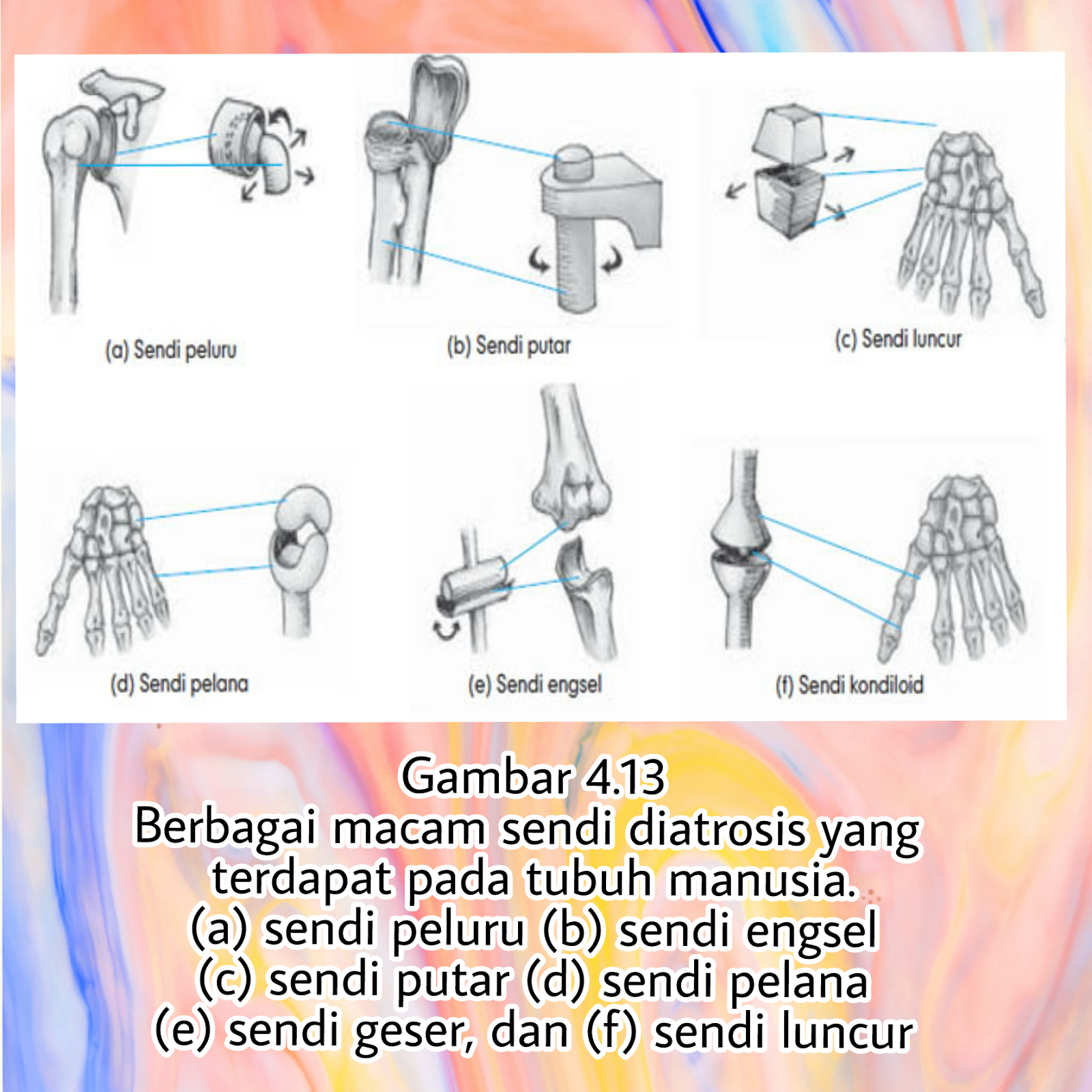 Penjelasan Materi Gambar Bab 4 Sistem Gerak (English Version)
