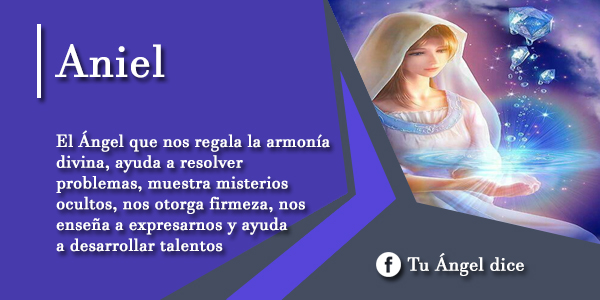 Tu Ángel dice: Aniel, el Ángel que trae armonía a nuestras vidas
